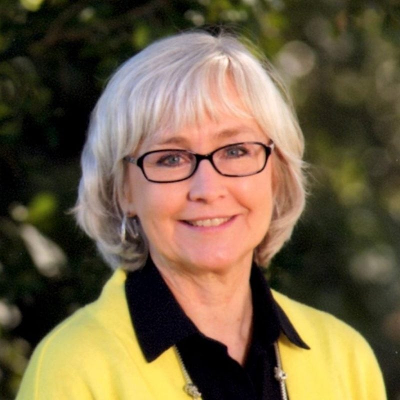 Democratic Party elects new Greenville County leadership - Who's On The ...