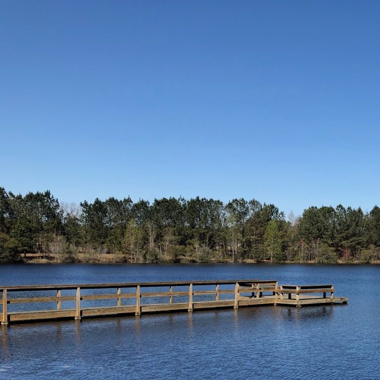 Phase One land development begins for LandTech’s Autumn Pond community ...