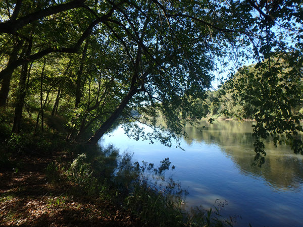 Woodlands along two South Carolina rivers, now conserved - Who's On The ...