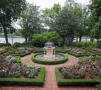 Furman tree program reaches new heights - Who's On The Move