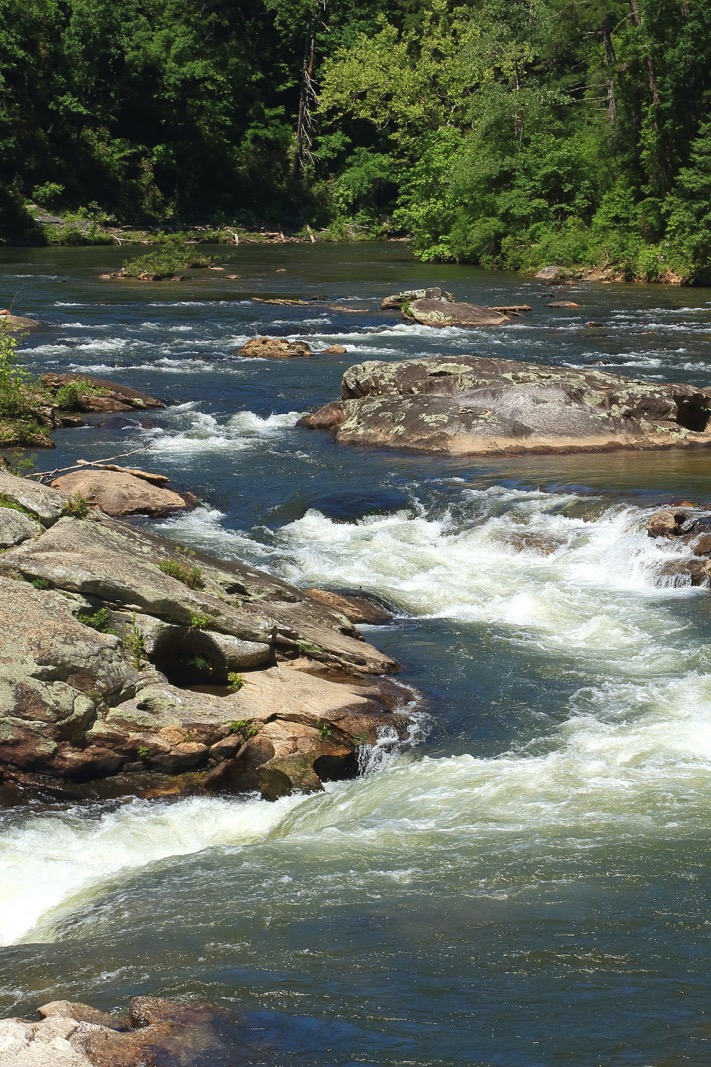 Just One Great Adventure - Who's On The Move