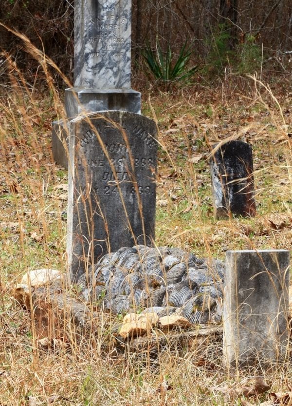 A Seashell Tradition - Who's On The Move