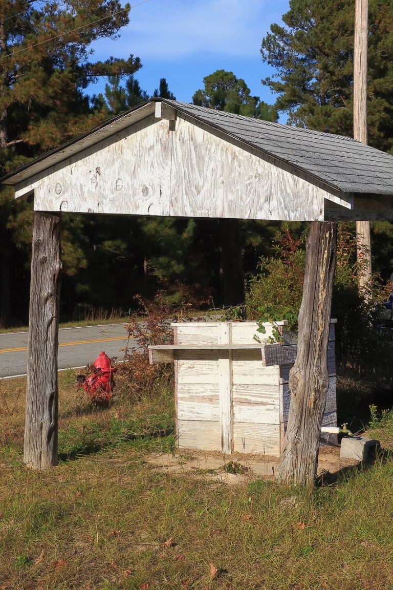 The Old Hand-Dug Well - Who's On The Move