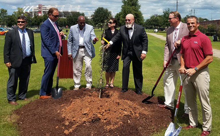 Coach Shane Beamer, others plant national championship tree - Who's On ...