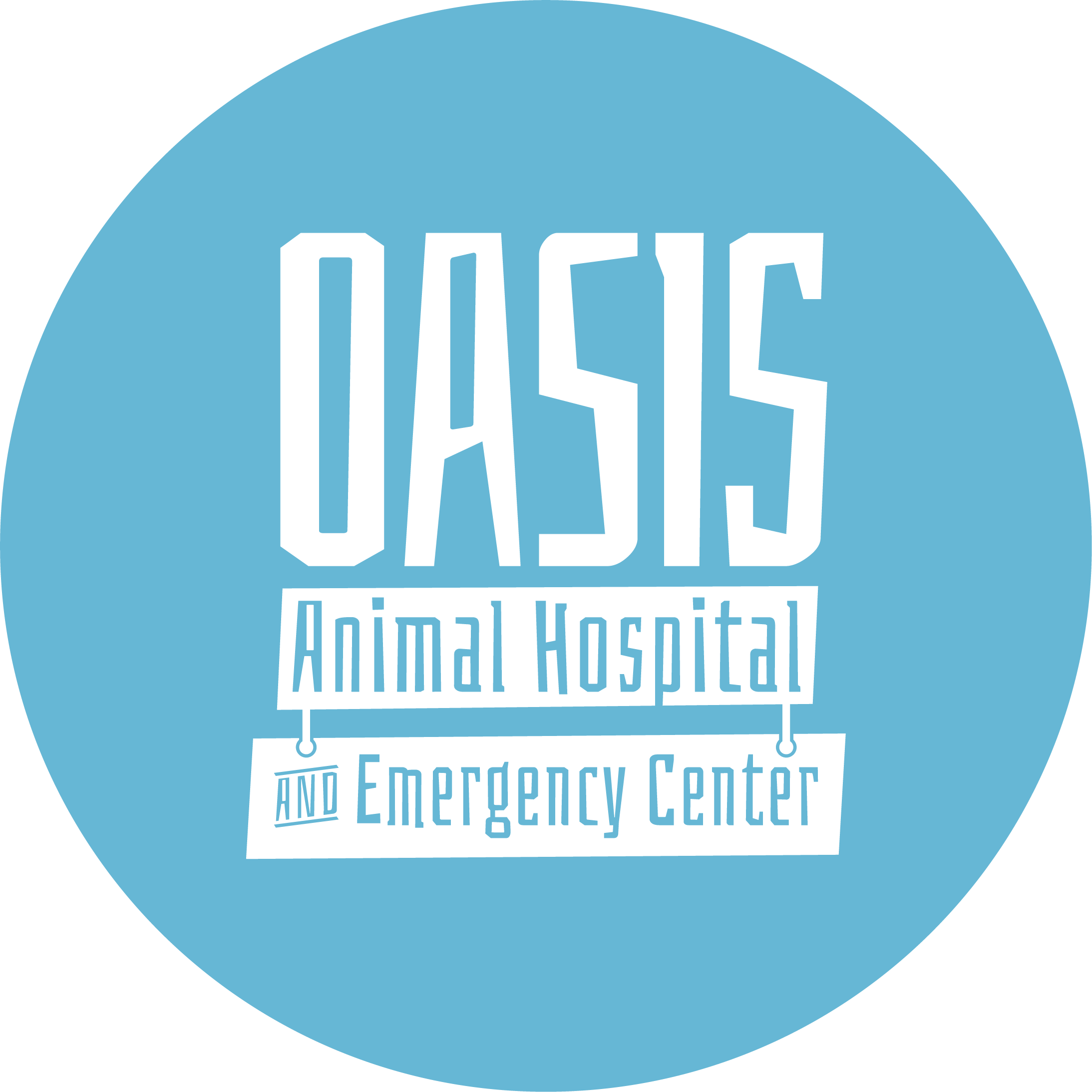 Oasis Animal Hospital introduces affordable cost for dog and cat dental ...