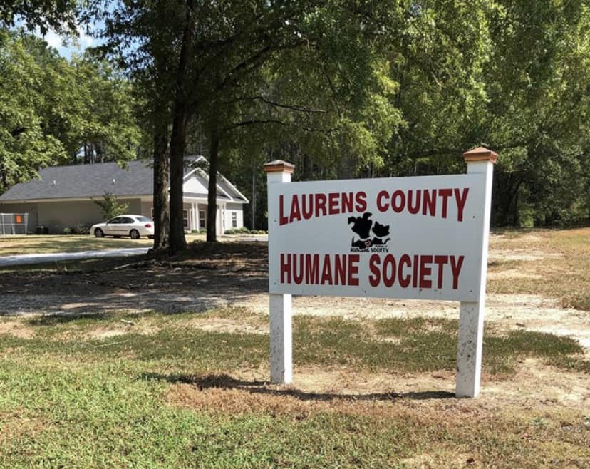 Laurens County Humane Society in Need of Financial Support to Maintain ...