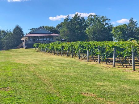 Enoree River Winery to host 5k to benefit Newberry Athletic Foundation ...