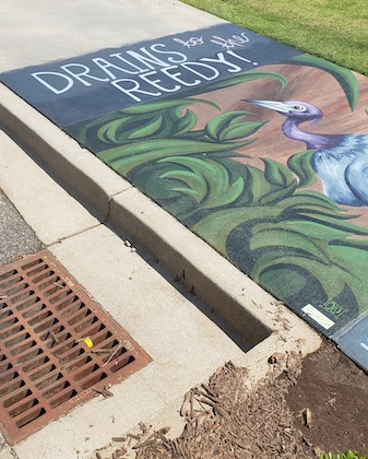 Keep Laurens County Beautiful Storm Drain Art Contest - Who's On The Move