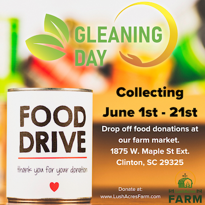 LushAcres Participating in Food Collection for Gleaning Day - Who's On ...