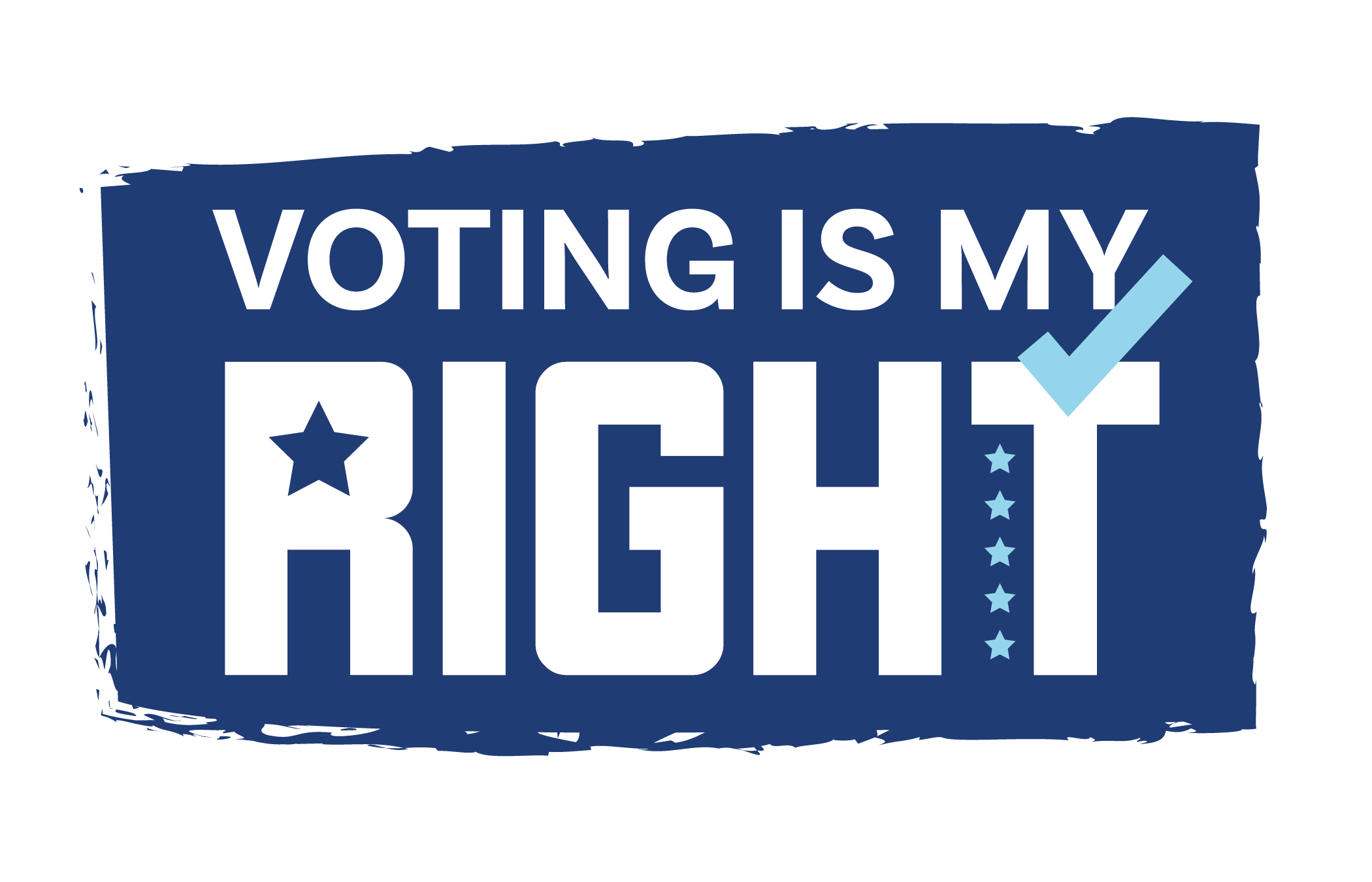 Disability Rights South Carolina launches “Voting is My Right” campaign ...