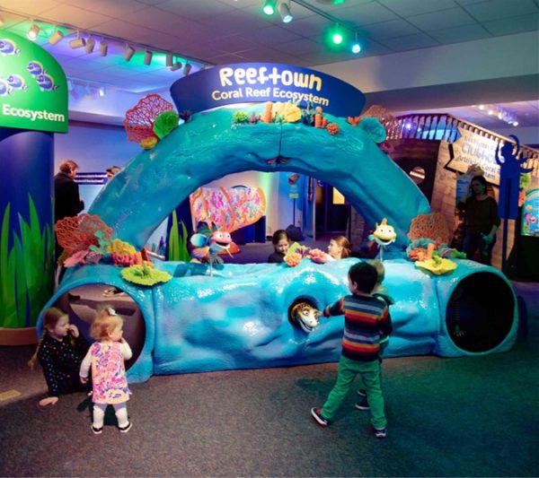 Upcountry History Museum dives in with ‘Splash and Bubbles’ - Who's On ...