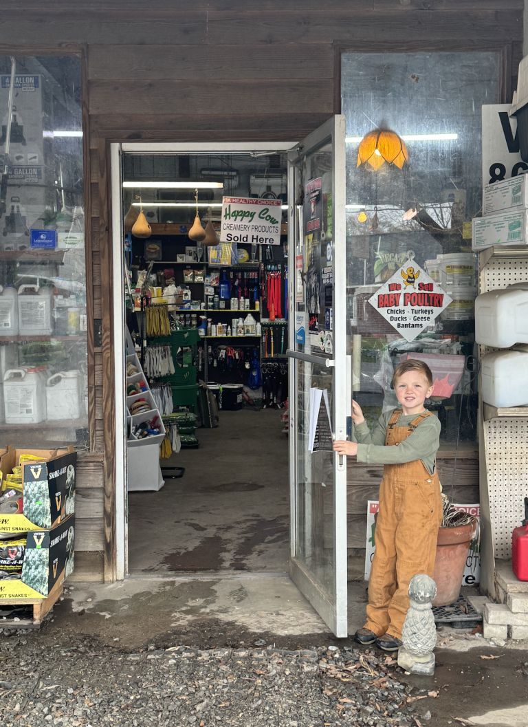 Growing Roots: The Evolution of Verdin's Farm and Garden - Part 2 - Who ...