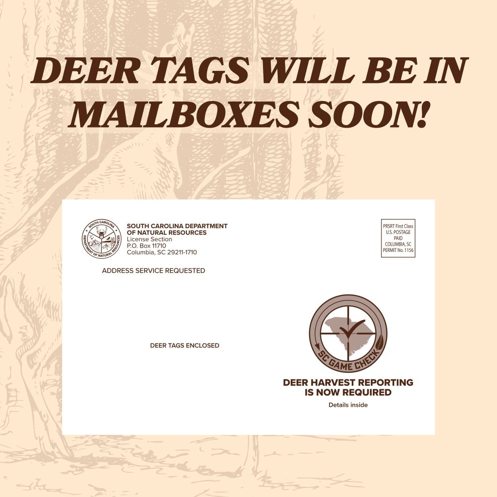 South Carolina Deer Hunters: Watch Your Mailbox for Deer Tags and New ...