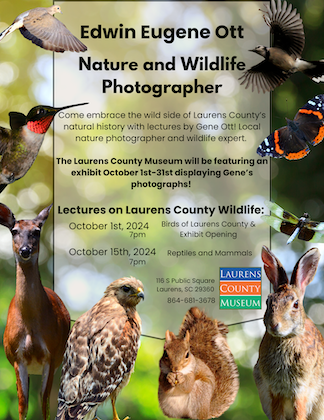 Embrace the Wild: Gene Ott Photography Exhibit Opens at Laurens County ...