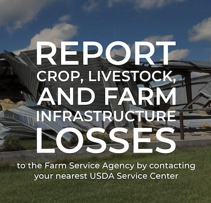 USDA Offers Recovery Aid for Farmers Affected by Hurricane Helene and ...