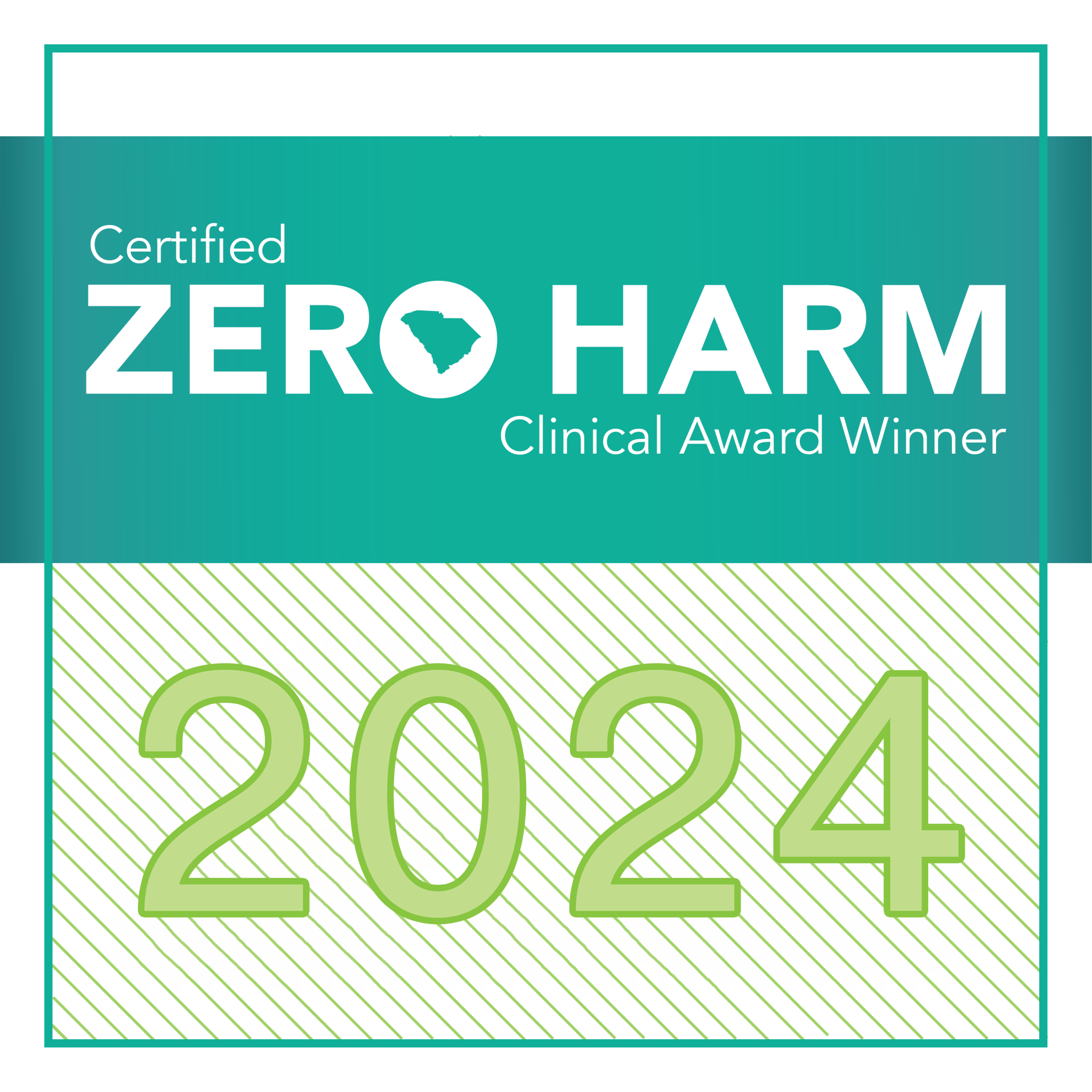 Bon Secours wins 2024 Zero Harm Award for commitment to patient safety ...
