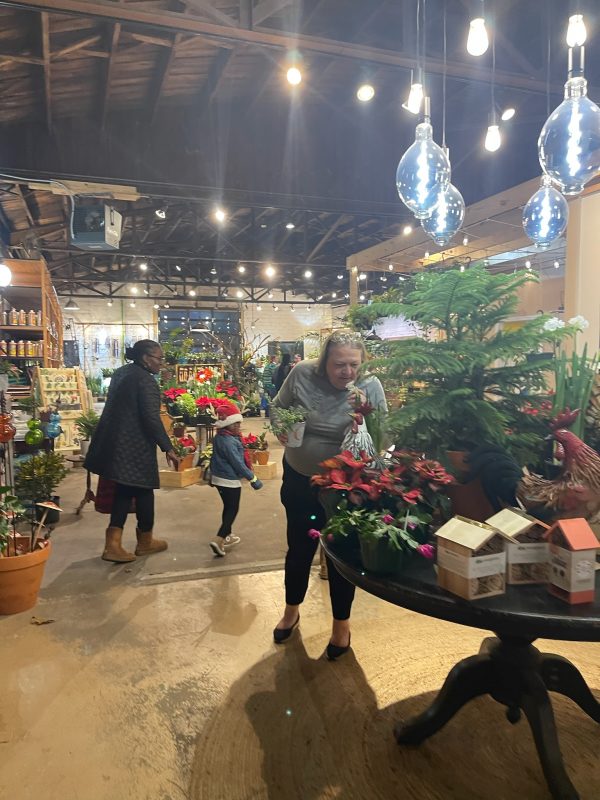 Light Up NOMA & Cookie Crawl returns this Sat - Who's On The Move