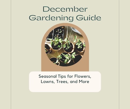 December Gardening Guide: Seasonal Tips for Flowers, Lawns, Trees, and ...