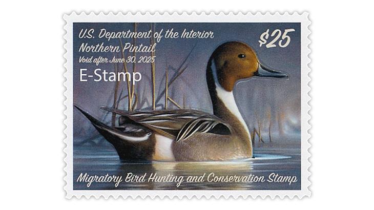 What South Carolina Waterfowl Hunters Need to Know About Federal Duck Stamps for the 2024-2025 ...