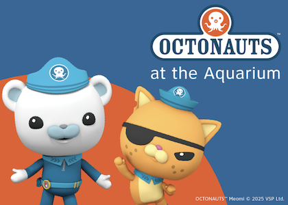 Octonauts comes to the South Carolina Aquarium March 7–9 for special ...