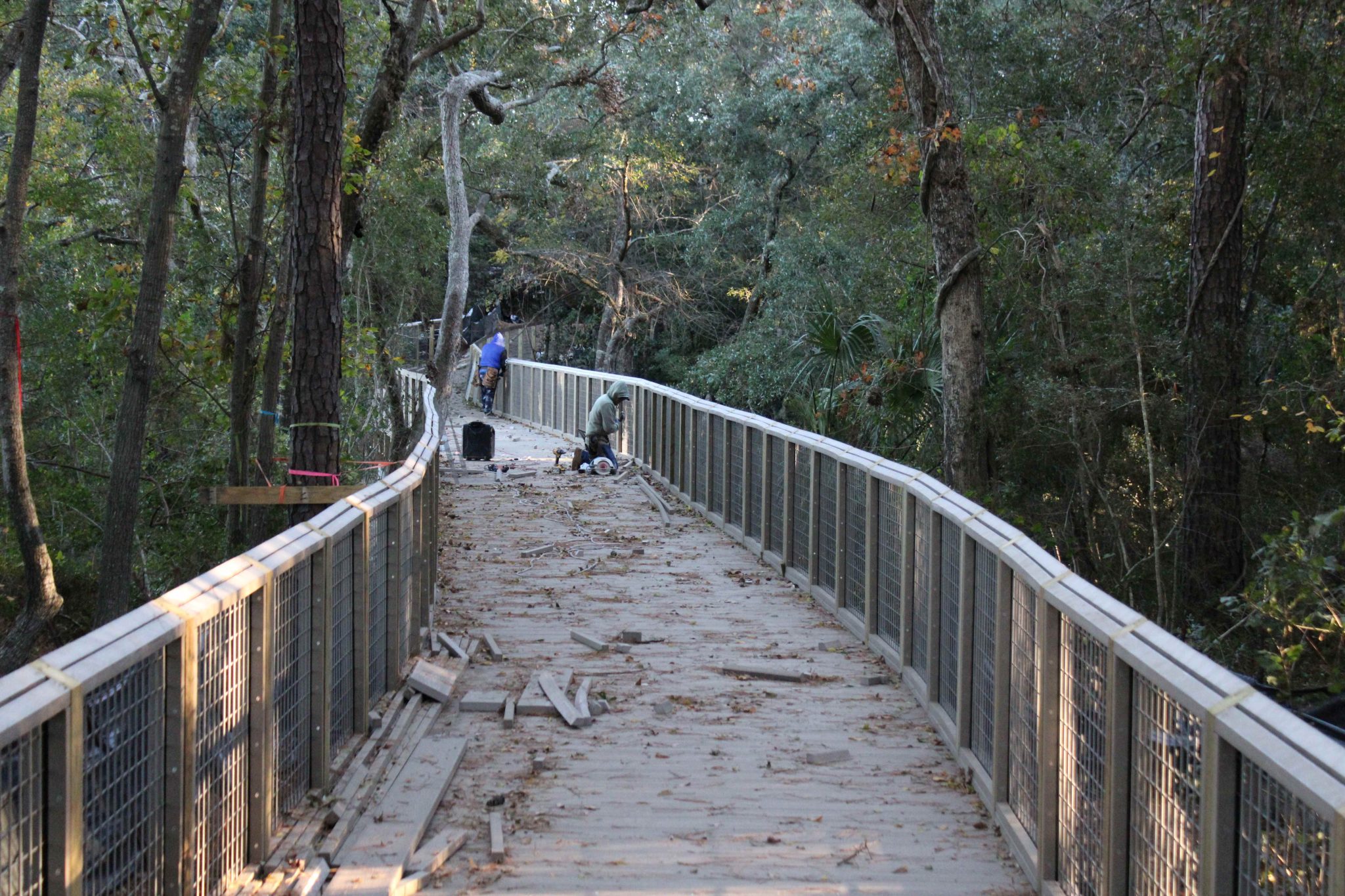 Old Towne Creek County Park Update - Who's On The Move