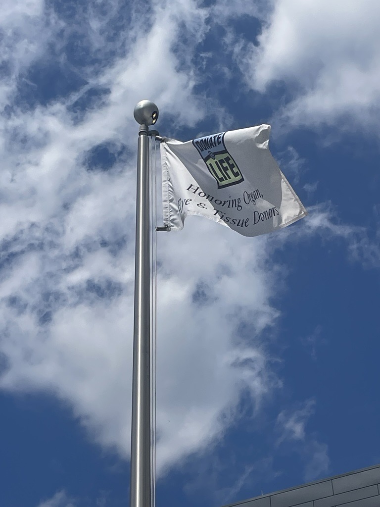 We Are Sharing Hope SC celebrates National Blue & Green Day honoring ...