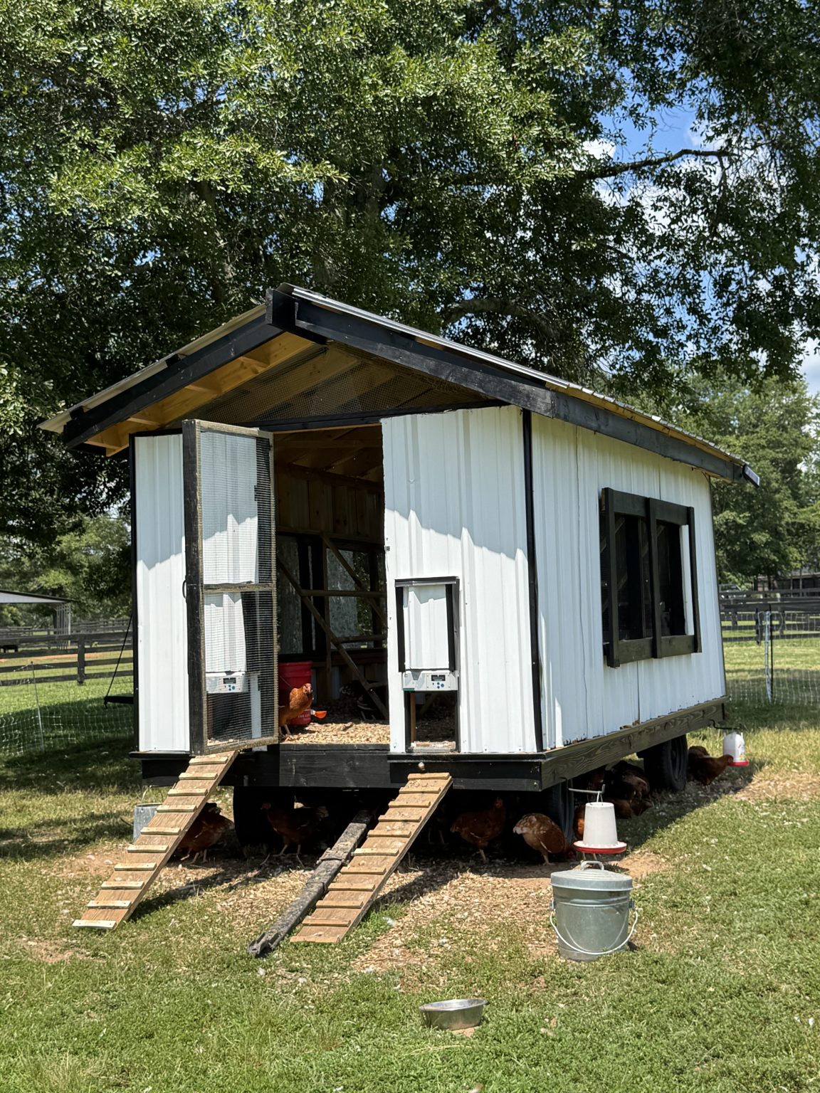 From Pasture to Purpose – The Story Behind JBW Farms - Who's On The Move