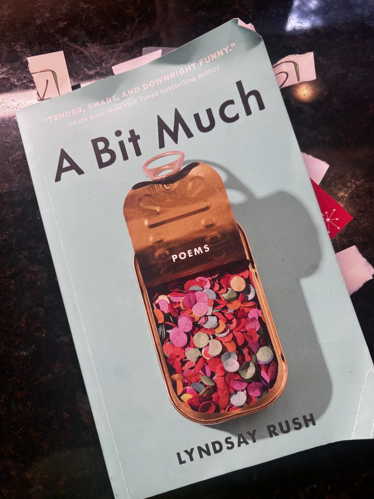 Summer Blink Book Review: “A Bit Much” by Lyndsay Rush - Who's On The Move