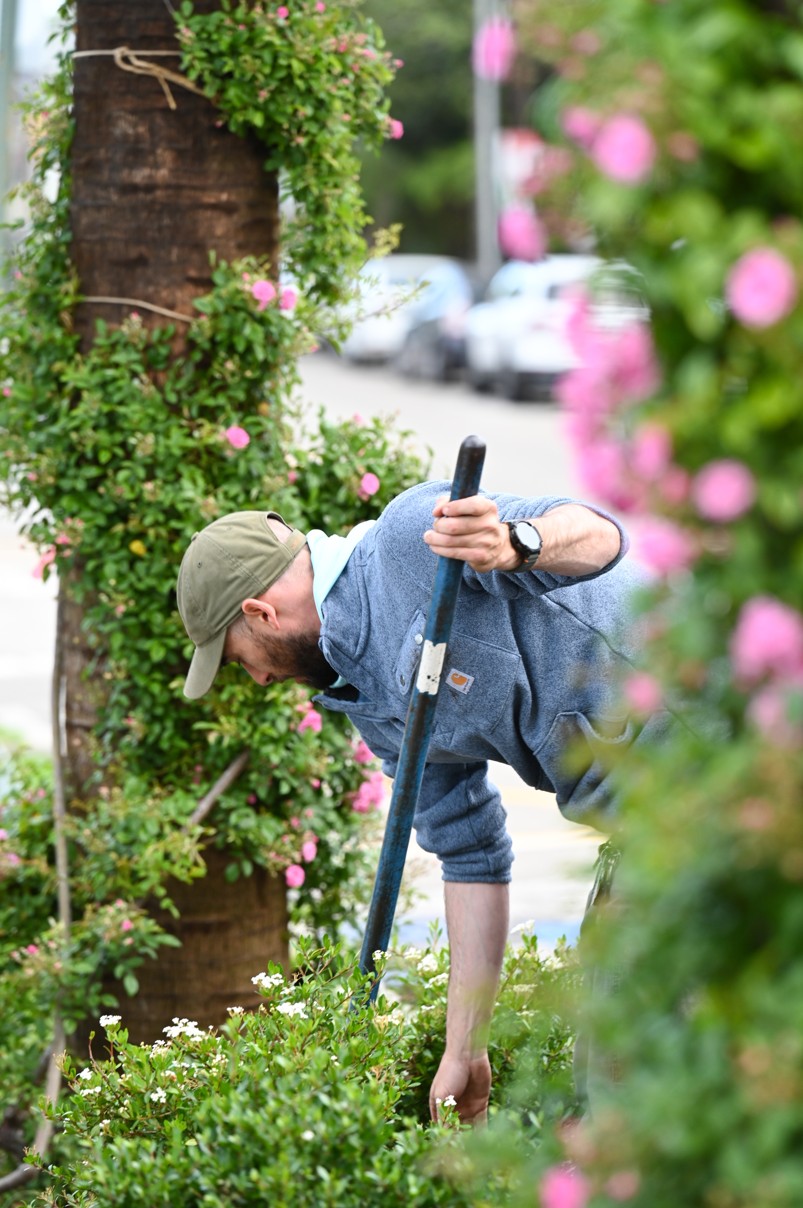 Colonial Lake revitalization continues with safer gardening practices ...
