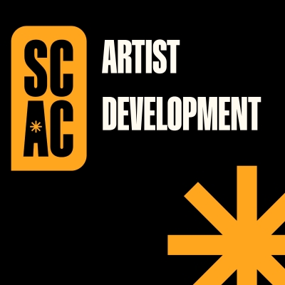 S.C. Arts Commission names seven new ‘emerging artists’ - Who's On The Move