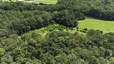 Lowcountry Land Trust protects 3 generations of family land on Johns ...