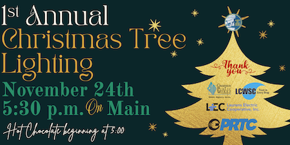 Gray Court’s Christmas Tree Shines Again Thanks to Local Collaboration ...