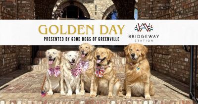 Sea of Goldens to Descend on Bridgeway Station for Golden Day - Who's ...