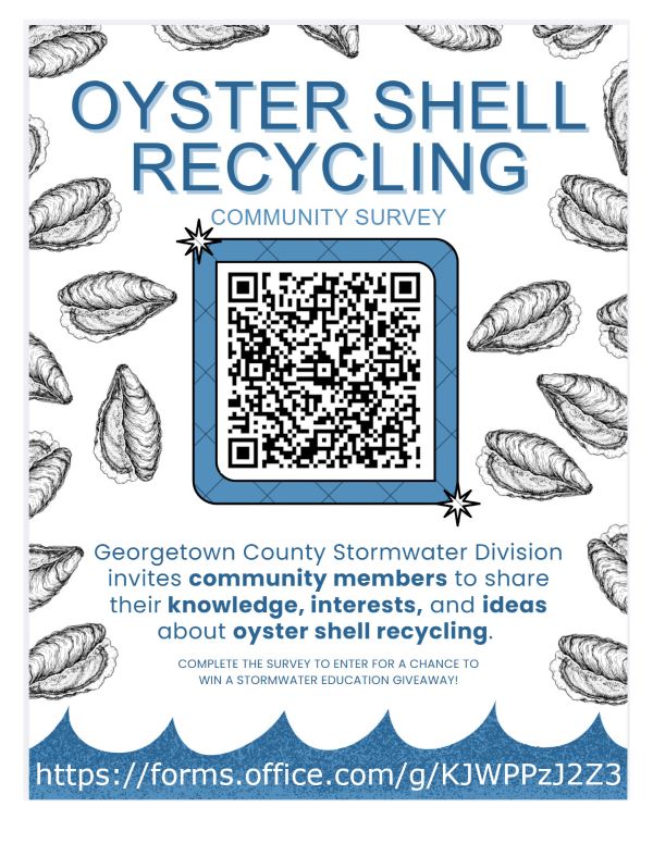 Your voice is needed: Help shape Georgetown County’s new Oyster ...