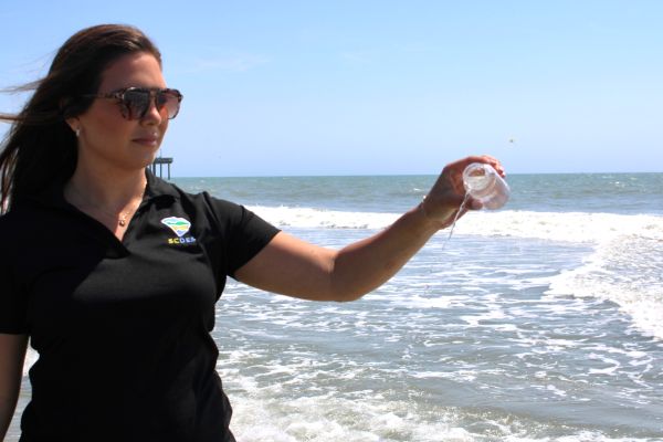 SCDES to begin seasonal water quality monitoring at S.C. beaches - Who ...