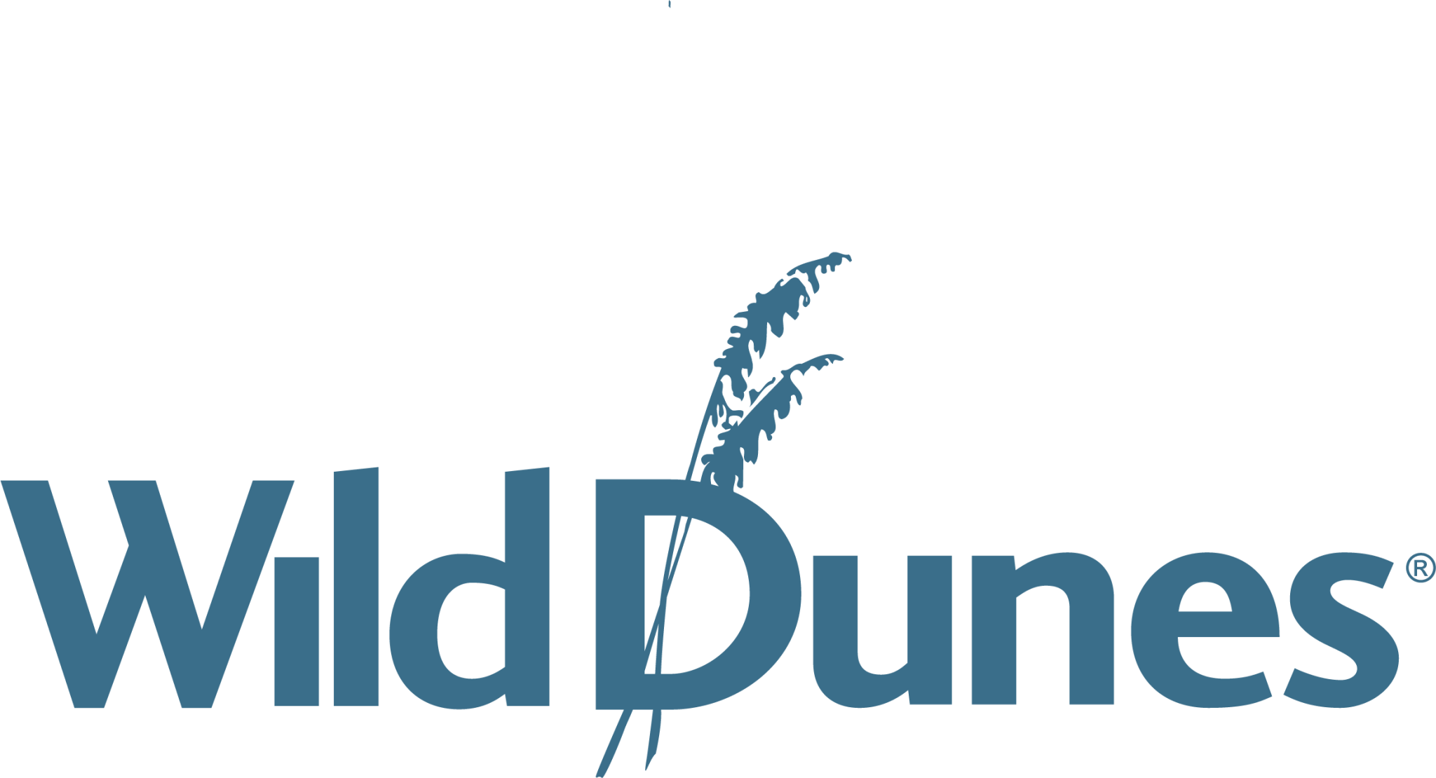 Wild Dunes Resort announces key leadership additions and promotions ...