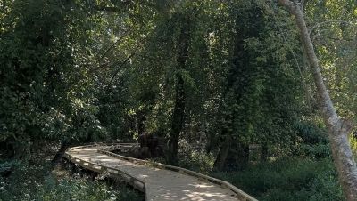 Conestee Nature Preserve offers intimate golf cart tours designed for ...