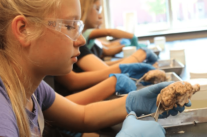 Students get hands-on lessons at Center for Advanced Technical Studies ...